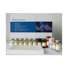 Canine AN1 type zinc finger protein 3(ZFAND3) ELISA kit | ARP American ...