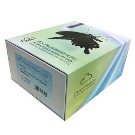 IDO ELISA kit (Human) | ARP American Research Products, Inc.